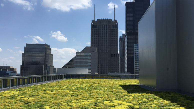 Rooftop Sky Garden Tops Chicago High-Rise Office Building - Roofing